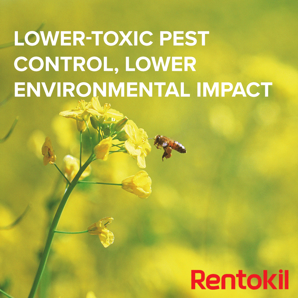 Environment - Rentokil Initial